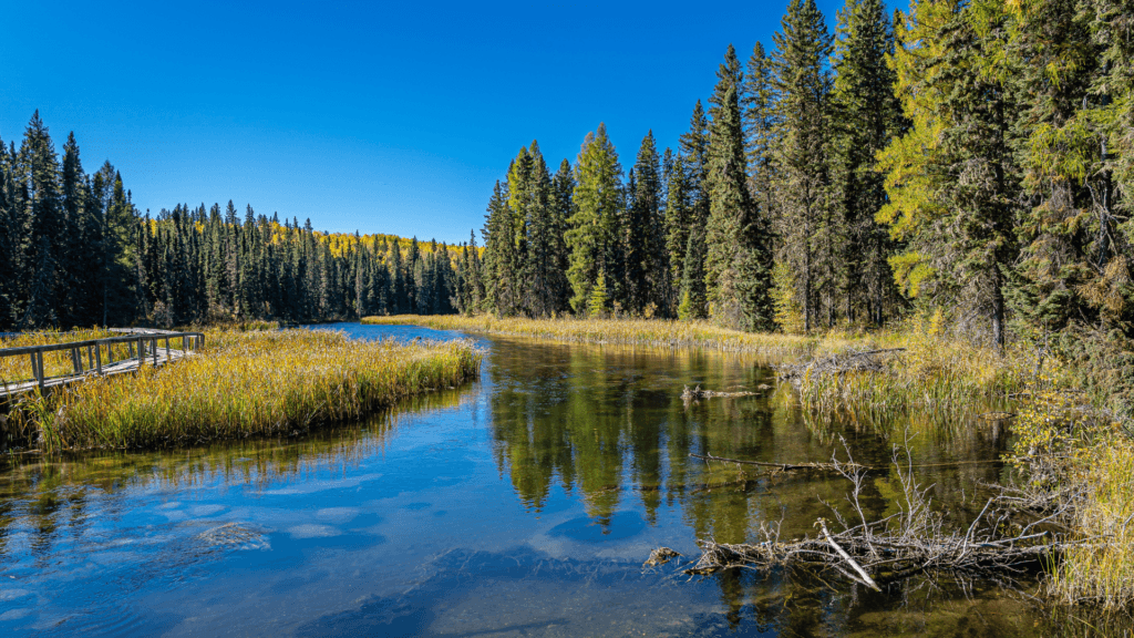 Prince Albert National Park - Reisen-Kanada